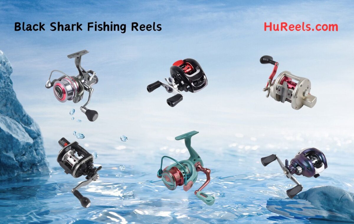 How to Choose Spinning Reel Sizes