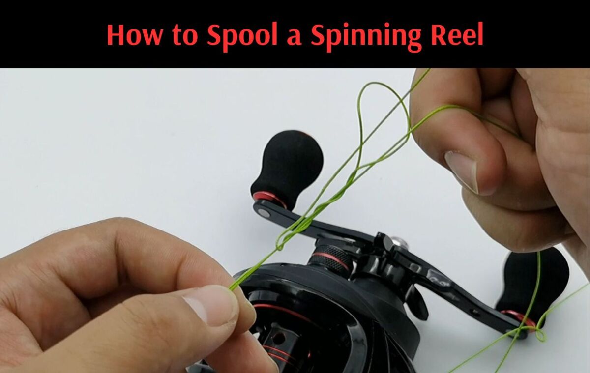 Spinning Reel Parts or Components Explained
