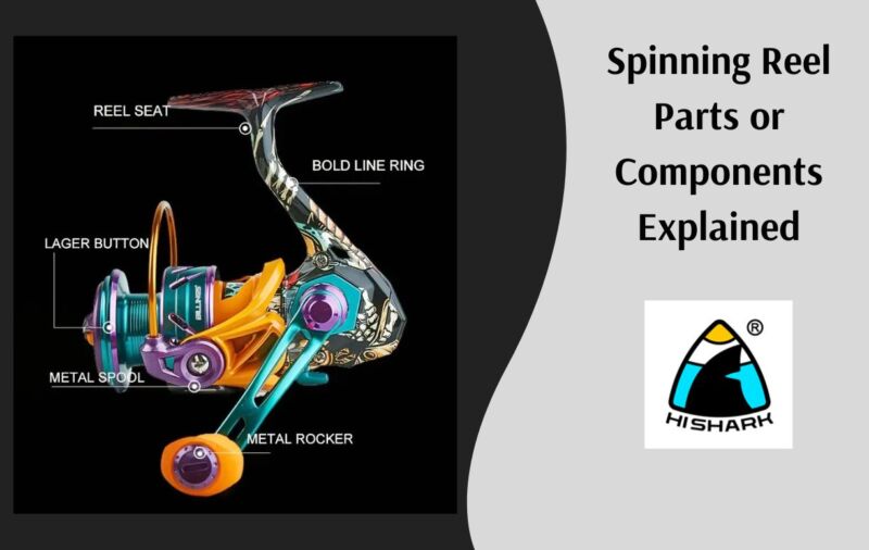 Spinning Reel Parts or Components Explained