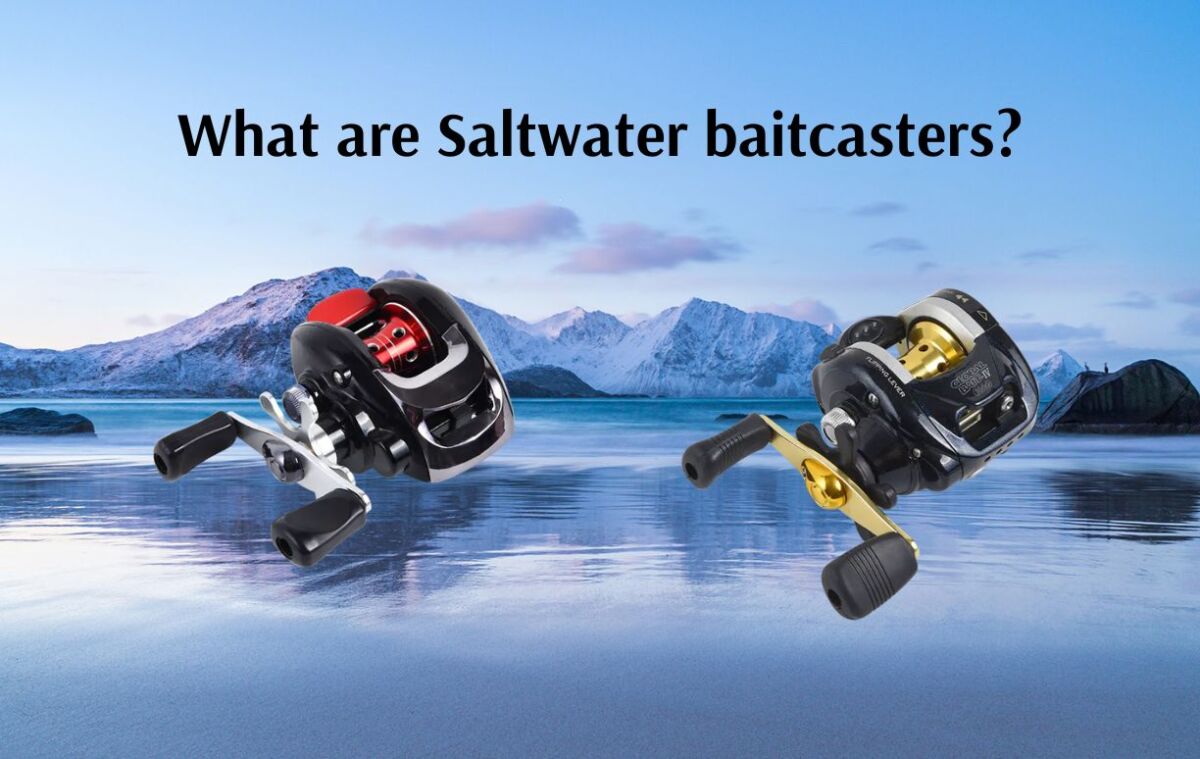 Saltwater Baitcasters: A Full Guide in 2024 - HuReels