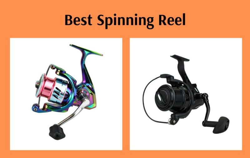 How to Choose Spinning Reel Sizes