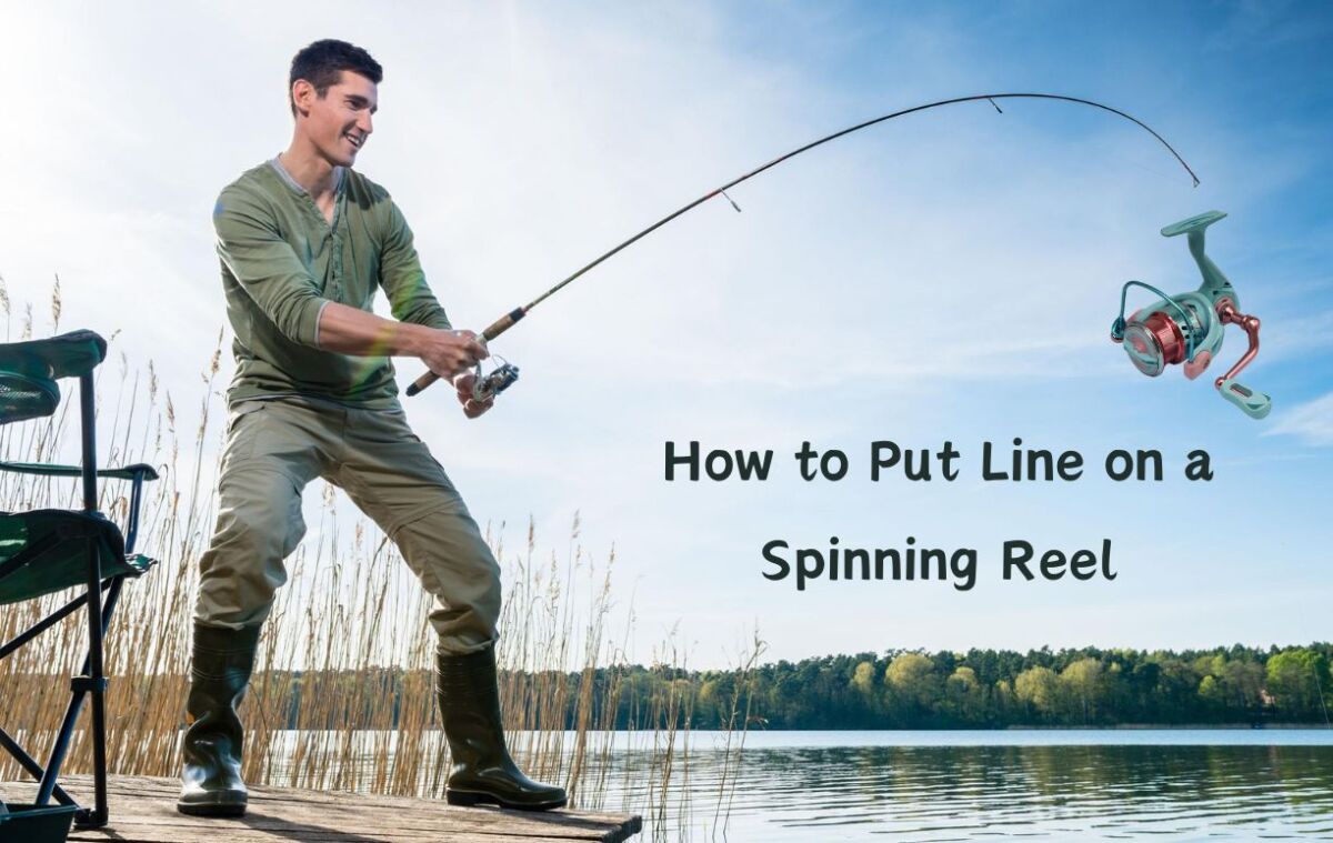 Spinning Reel Parts or Components Explained